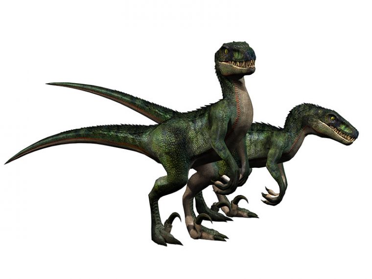Velociraptor - Origens / Orígenes