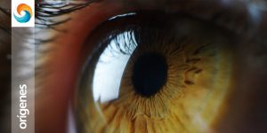 Home - Origens / Orígenes